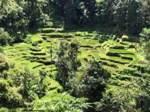 事業案内 | SEL energy